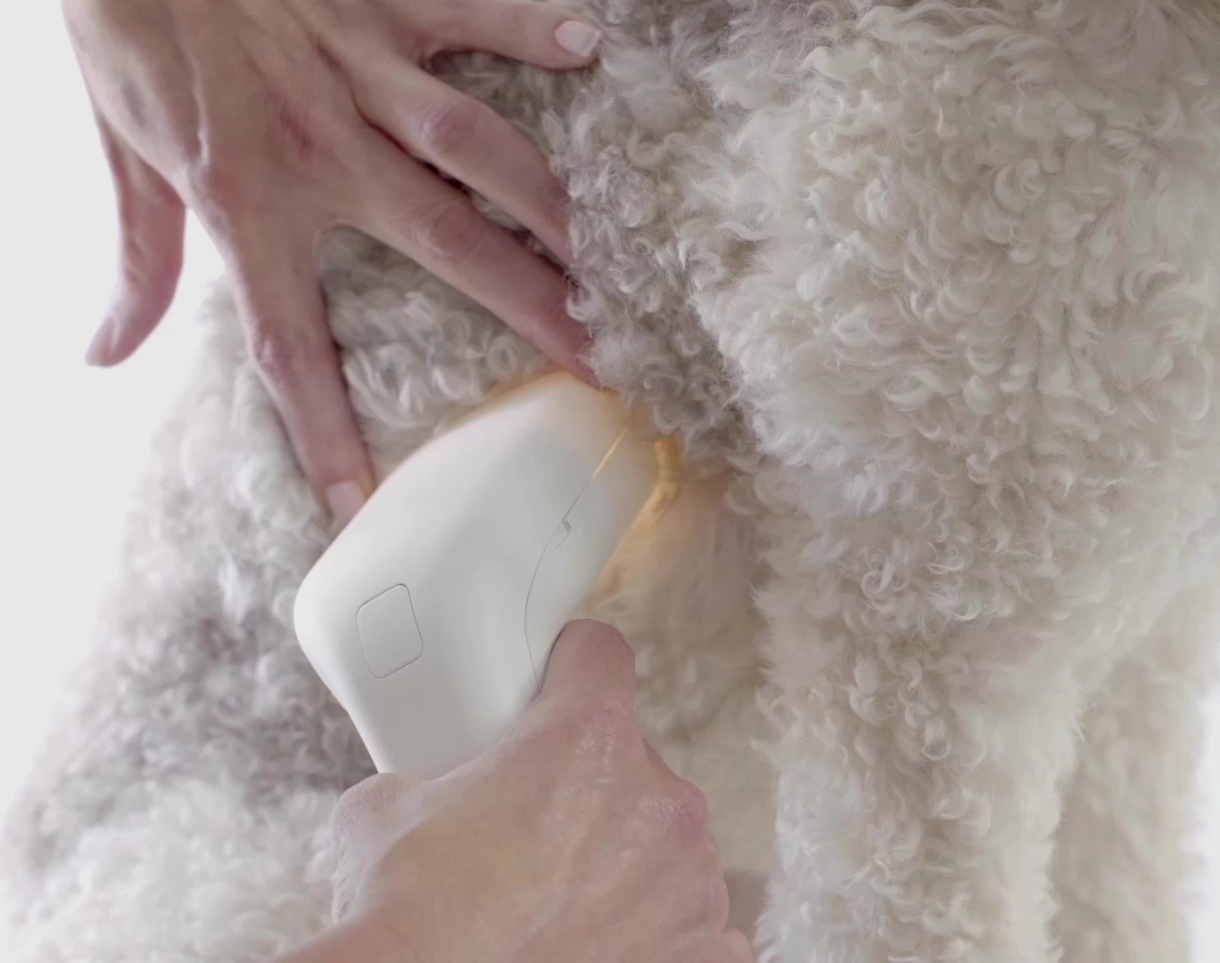 Early Cancer Detection | Non-Invasive Screening for Dogs | HT Vista